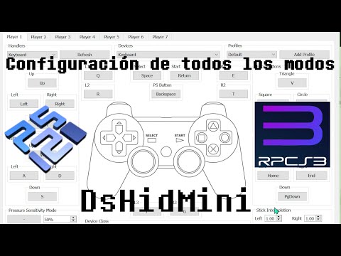 Configuración completa DsHidMini