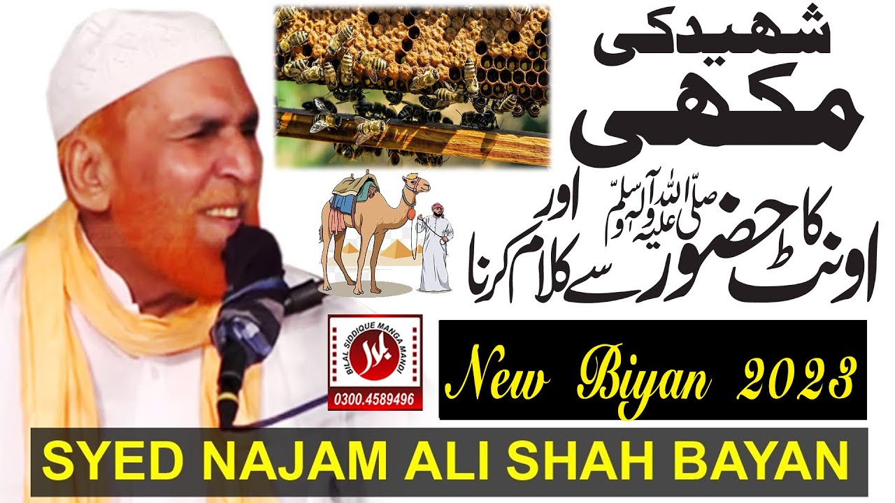 Shahid ki Makhi Our Hazoor (SAWW)se Oont Ka Waqya | Najam Shah | نجم ...