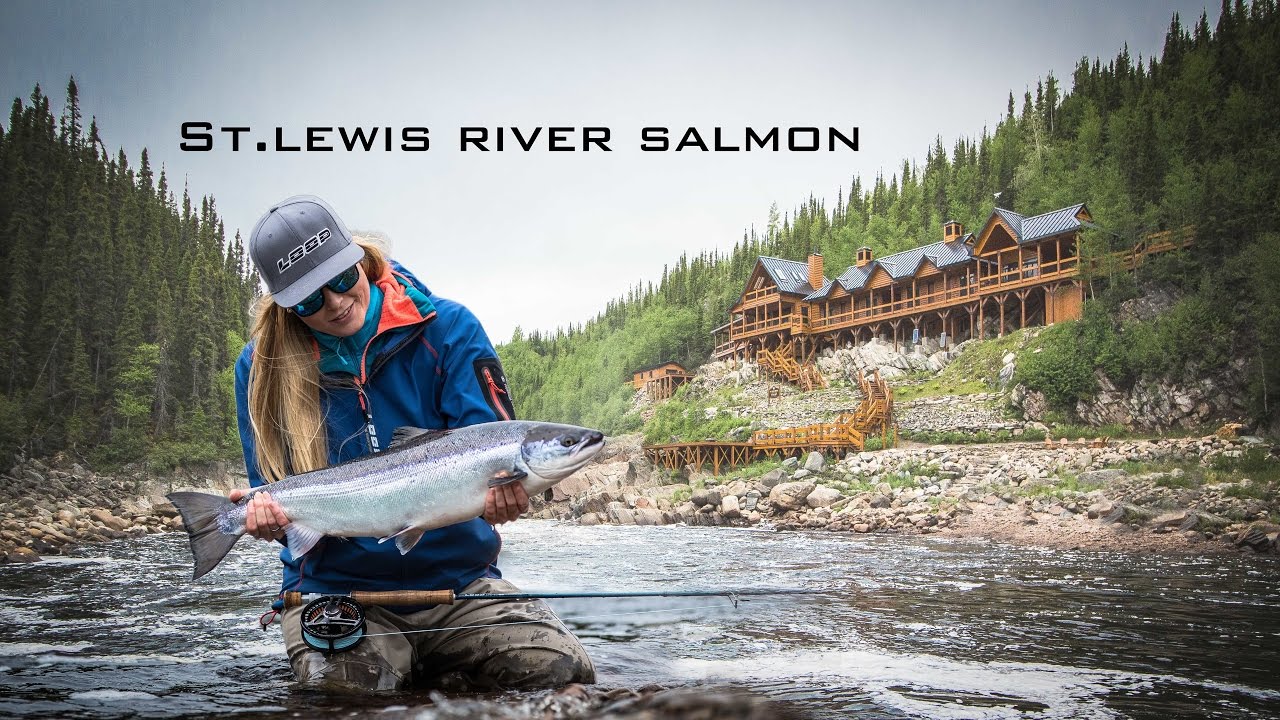 St. Lewis salmon - YouTube