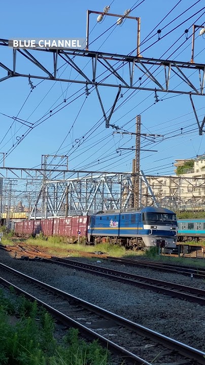 (貨物列車) 2024/09/13 5074レ EF210-356 + コキ22B (06:59) (北九州タ〜東京タ) #Shorts - YouTube