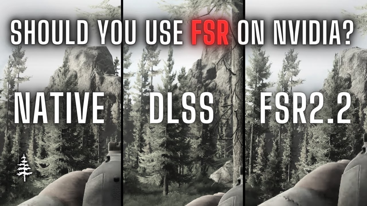 Should You Use FSR Even on Nvidia? \\ 1440 Native vs DLSS vs FSR2.2 ...
