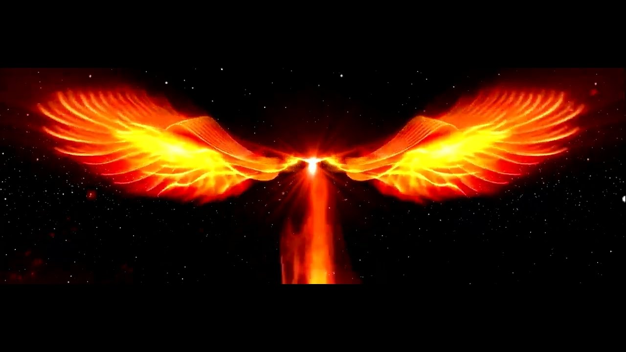 Visual led - Múa tương tác led Opening l Phượng Hoàng Lửa fire phoenix ...