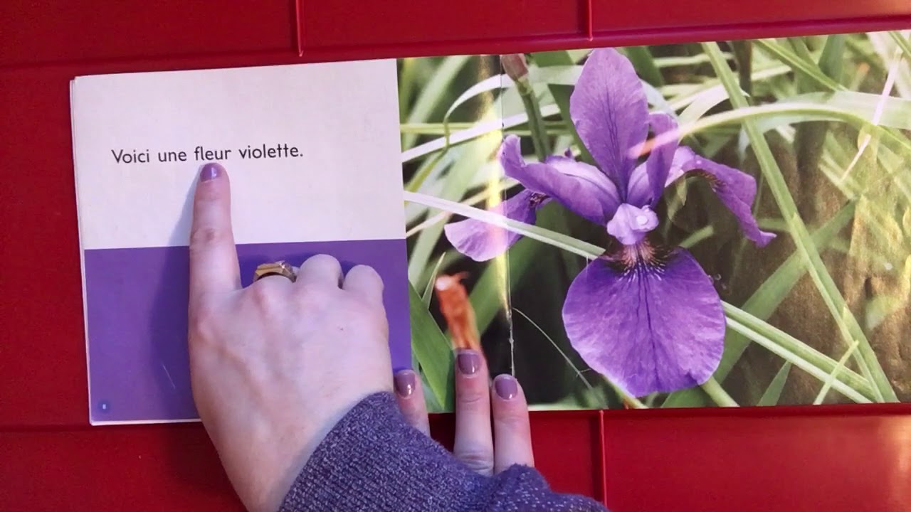 Les fleurs- French home reading - YouTube