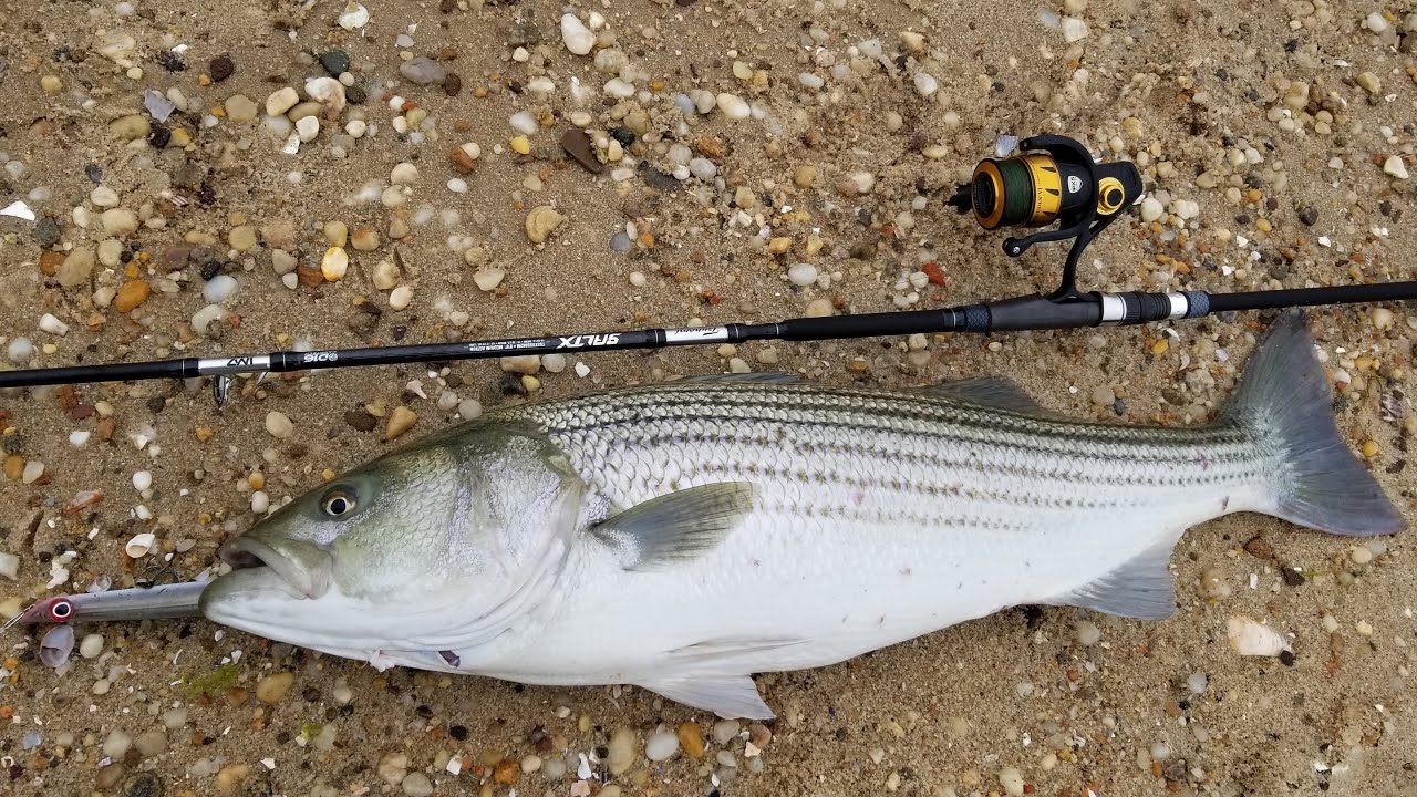Stormy Beach Striper Fishing and SaltX Rod Review! - YouTube