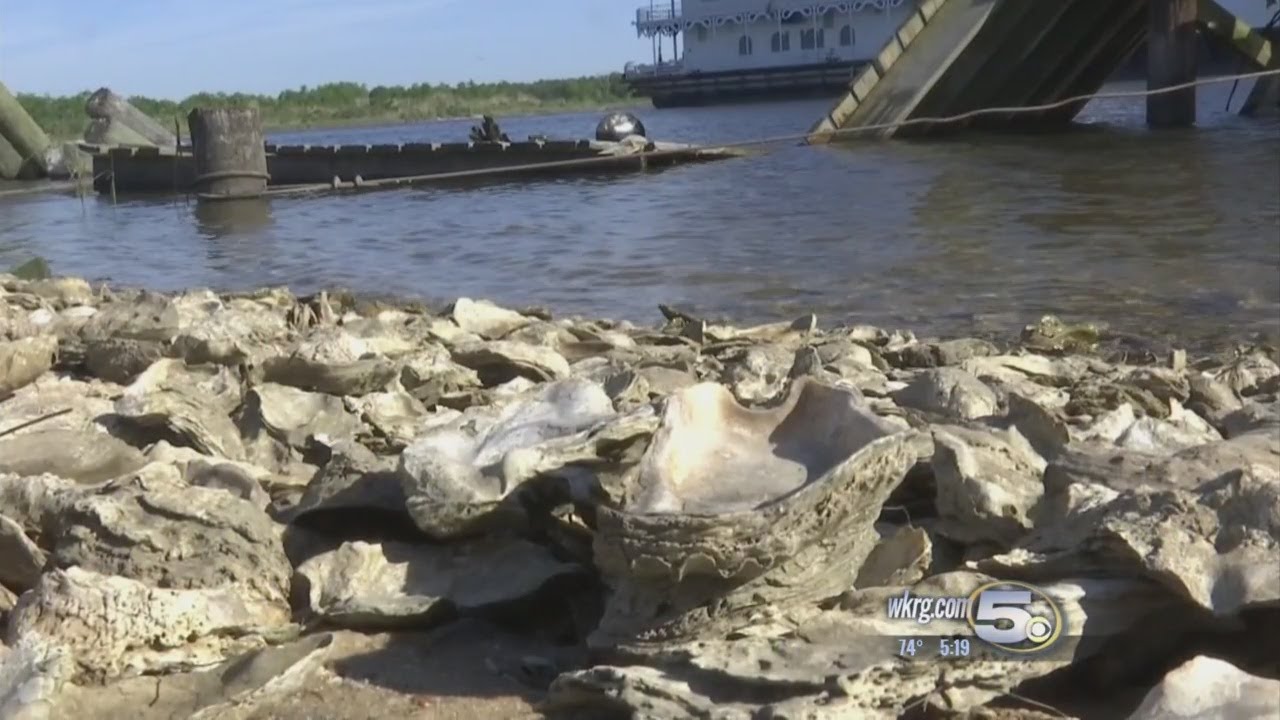 Eight years after Deepwater Horizon Oil Spill, locals eager for RESTORE ...
