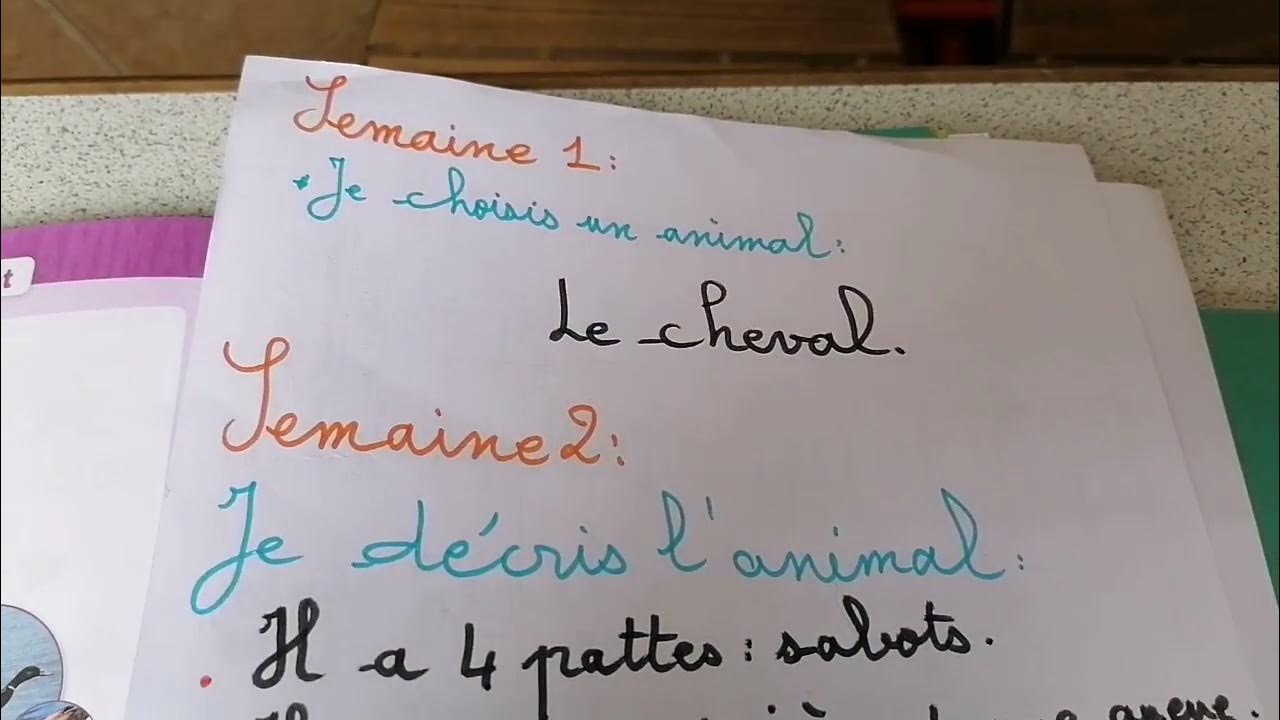 Projet de classe : la description d'un animal. - YouTube