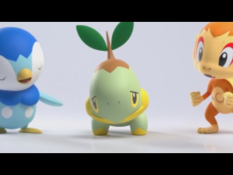 TURTWIG, NOOOOO!