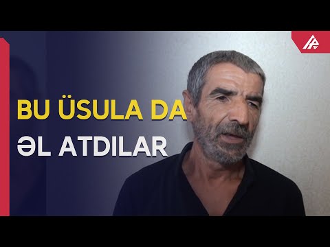 Böyürtkən kollarının arasında çətənə yetişdirdi – APA TV