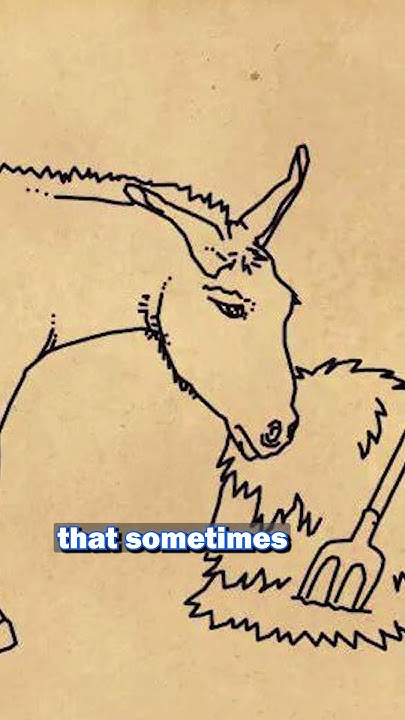 Buridan's Donkey is a philosophical paradox named after Jean Buridan.# ...