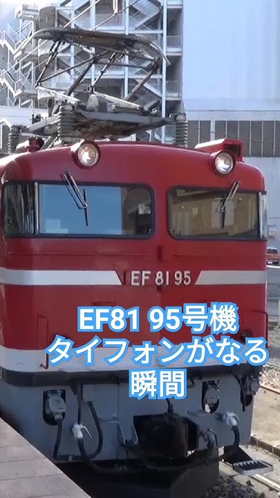 EF81 95号機 タイフォンがなる瞬間 #EF81 #タイフォン #EF8195 #機関車 - YouTube