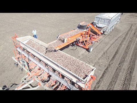 Mayo Telescoping Loader - YouTube