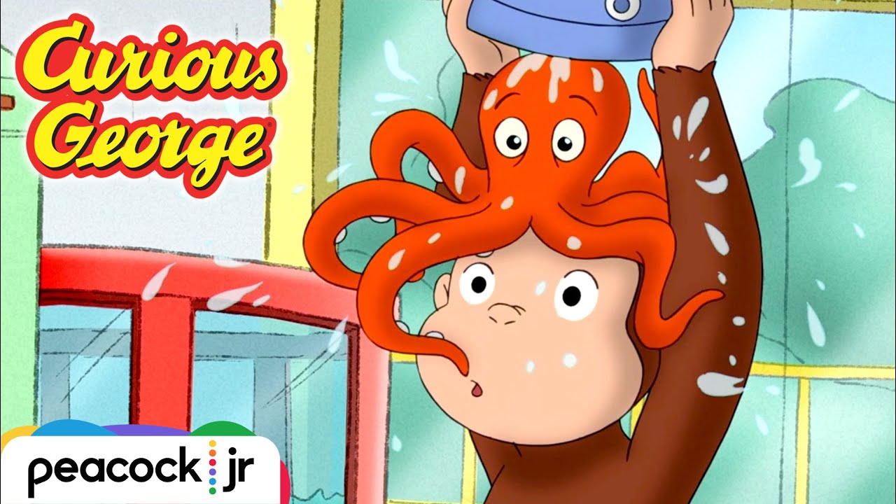 George's Wet and Wild Aquarium Day! | CURIOUS GEORGE - YouTube