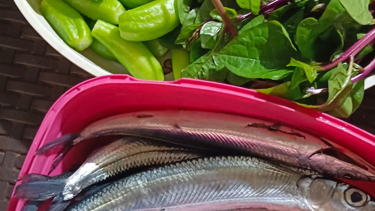 pinangat na isda bugiw #simplecooking with kamyas alogbati # ...