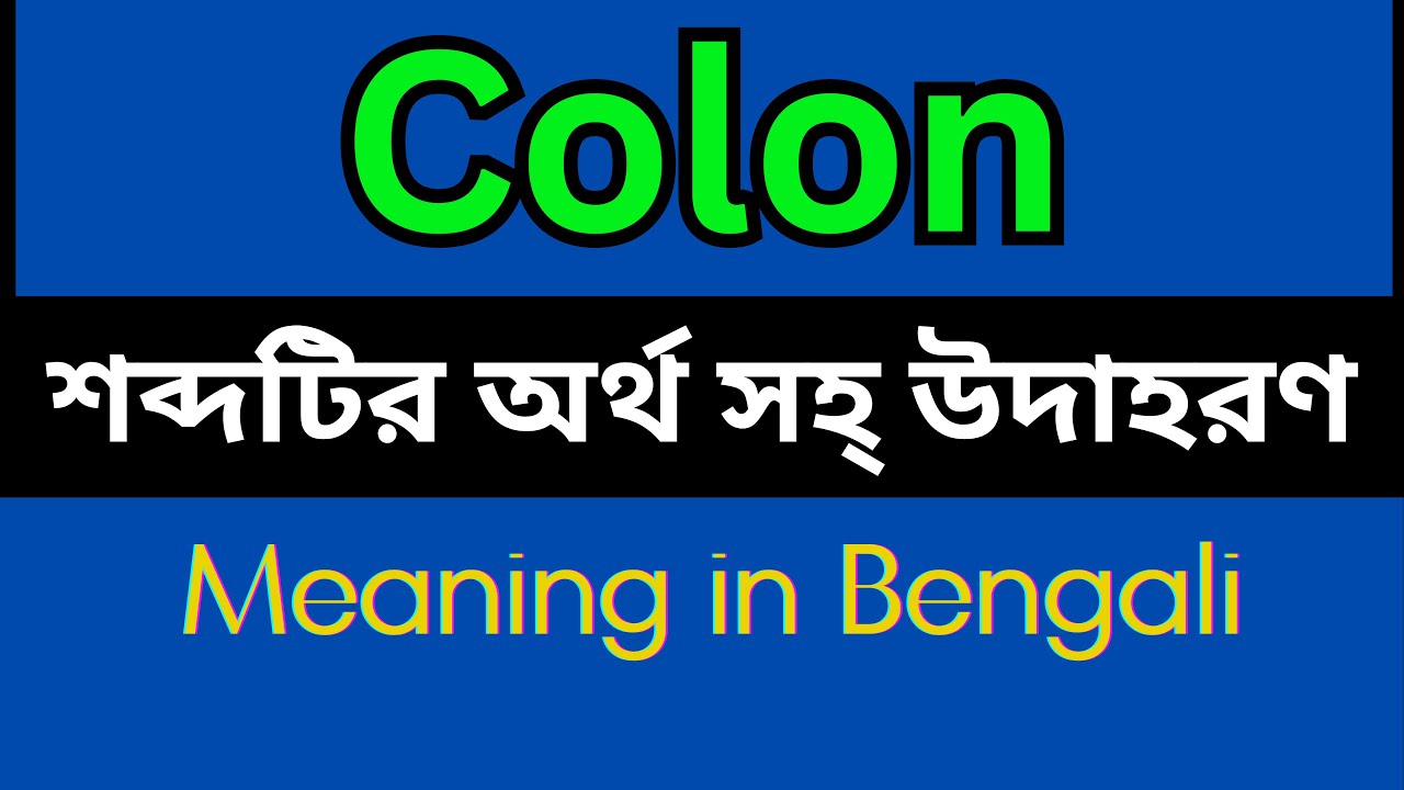 Colon Meaning In Bengali Colon Mane Ki YouTube