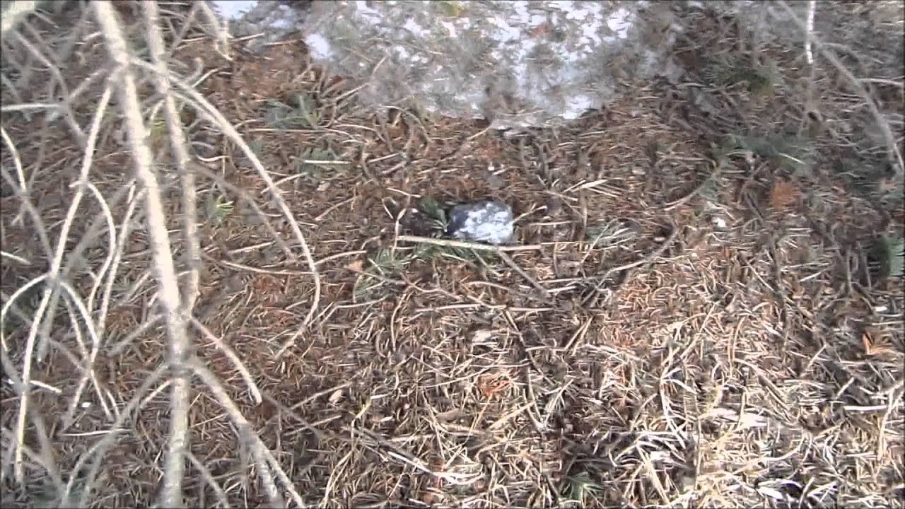 Evil Rock Geocache Hide - YouTube
