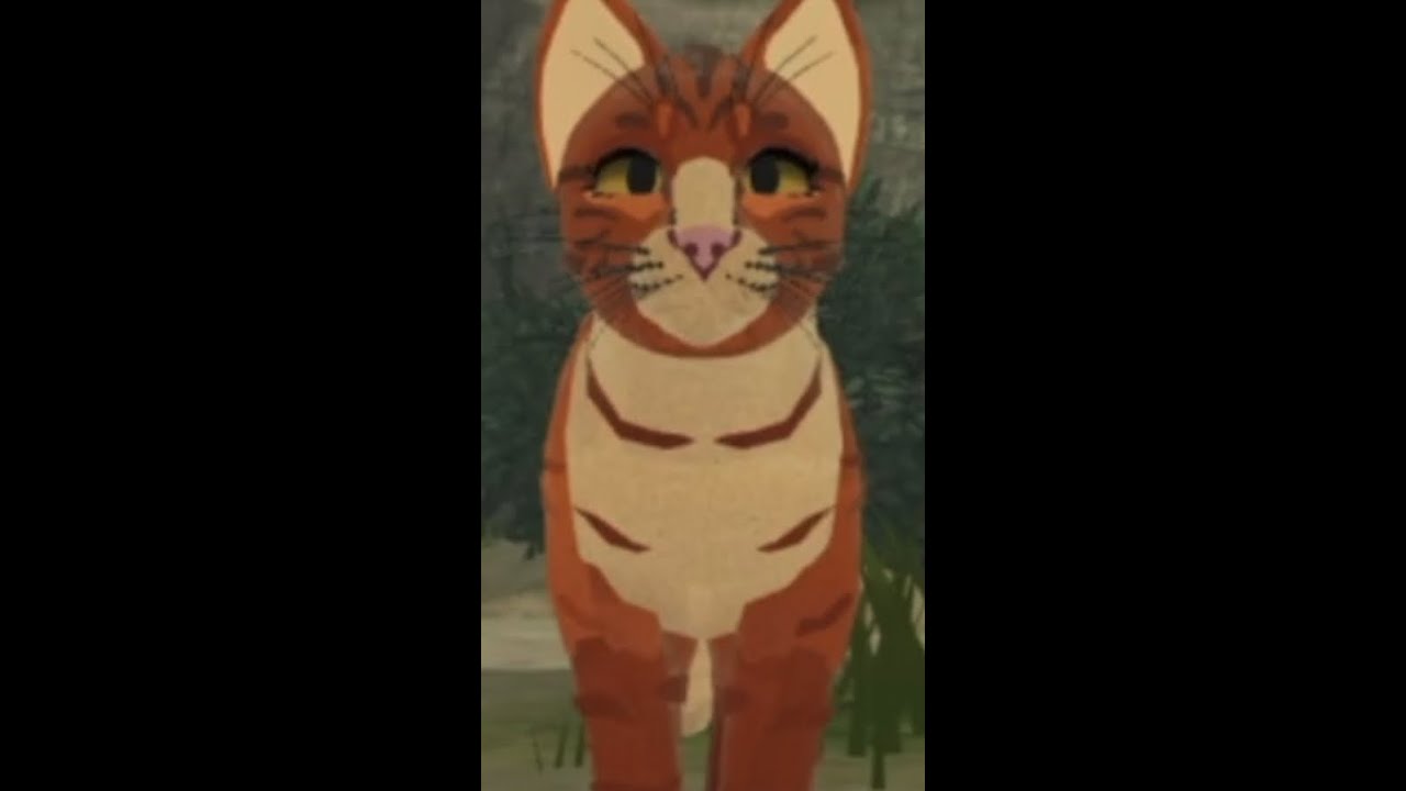 How to make a cute tiger like cat in wcue no gamepass - YouTube