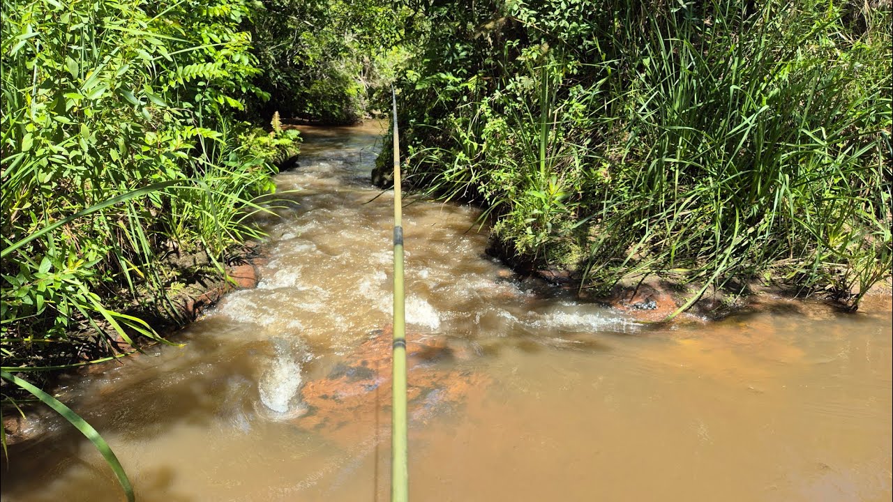 UMA PESCA DE DAR MEDO ATÉ NO MAIS CORAJOSO, A ONÇA NÃO ESTAVA PARA ...