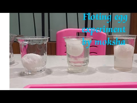 floating egg science experiment by moksha - YouTube