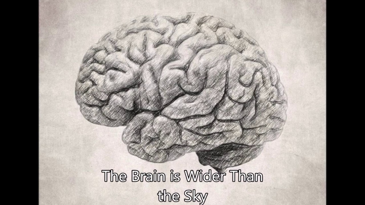 The Brain is Wider than The Sky by Emily Dickinson - YouTube
