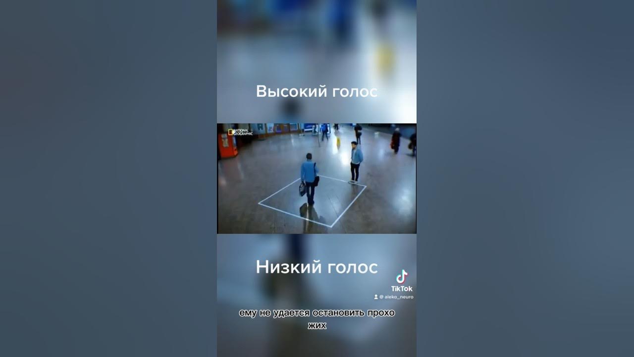 Высокий и низкий голос - YouTube