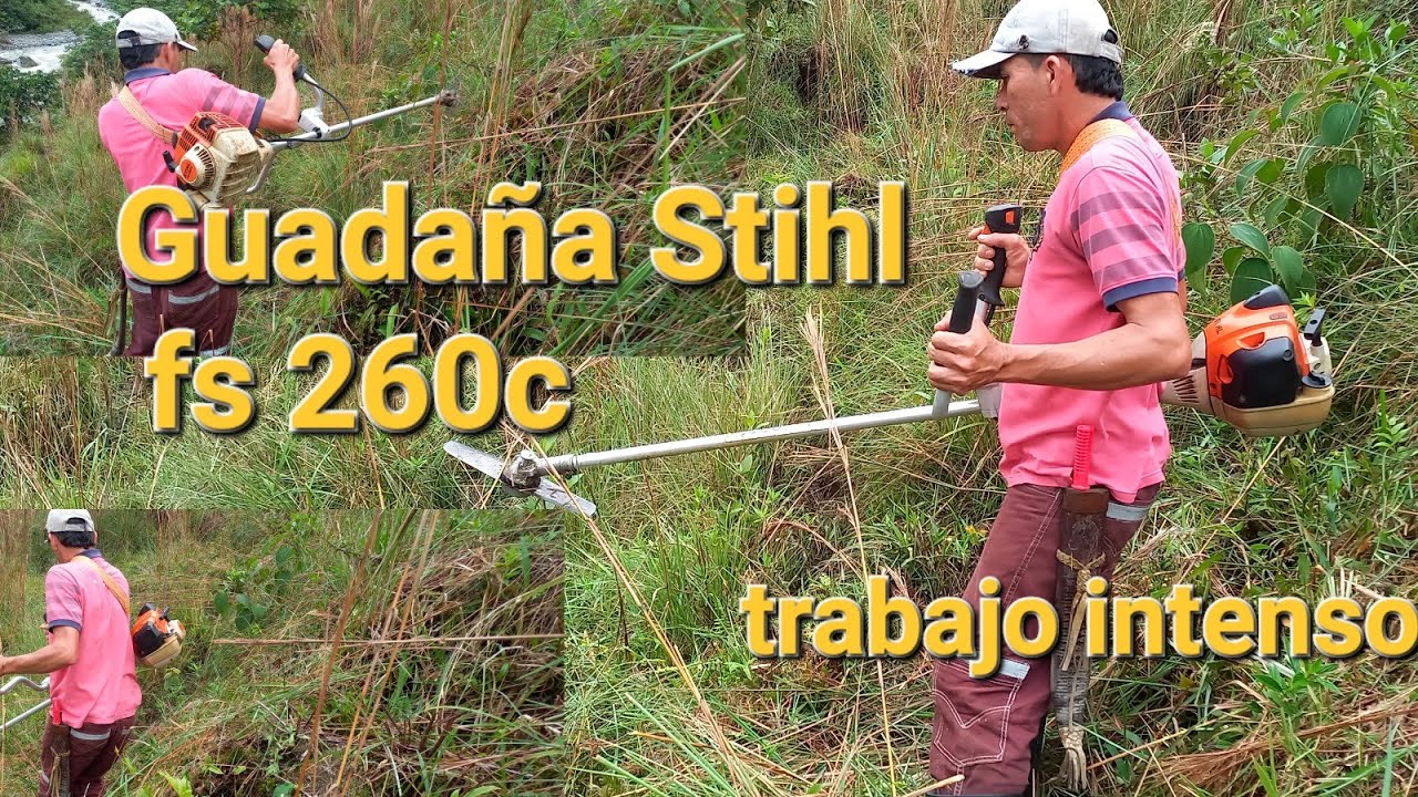 Guadaña stihl fs 260c para trabajo intenso/ desbrozadora stihl fs 260c ...