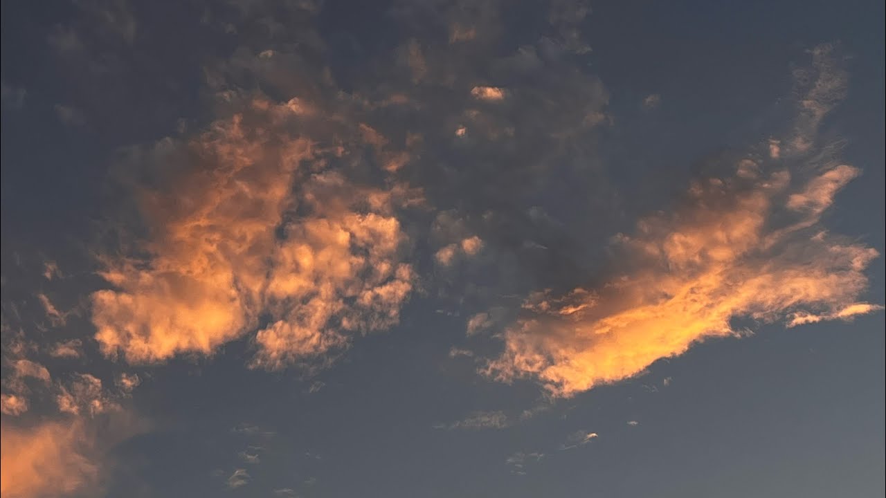 Please Never Fall In Love Again- Ollie MN (Lia Graham Cover) - YouTube