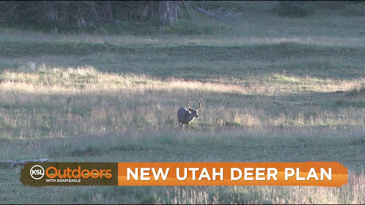 New Utah Statewide Deer Management Plan Approved - YouTube