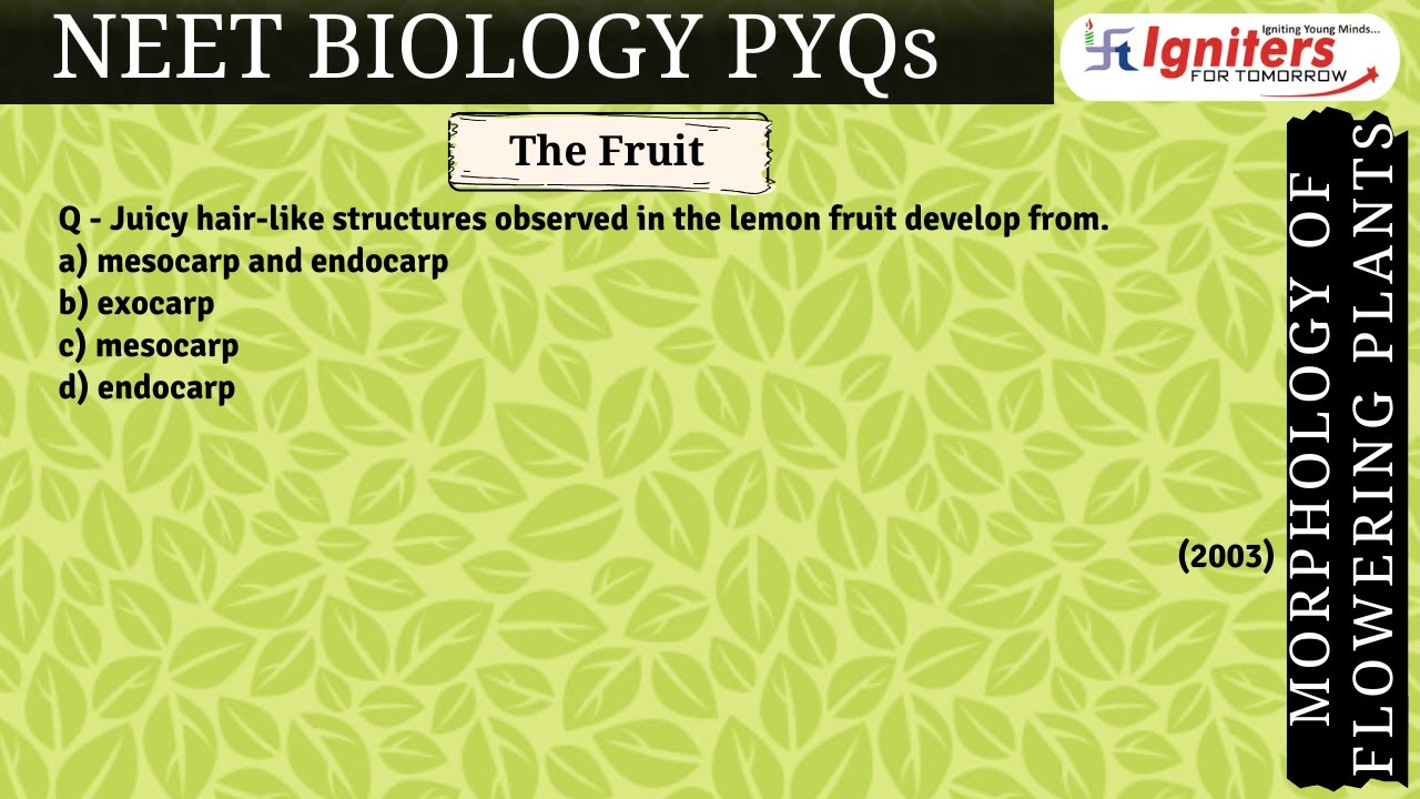 Juicy hair-like structures observed in the lemon fruit develop from. a ...