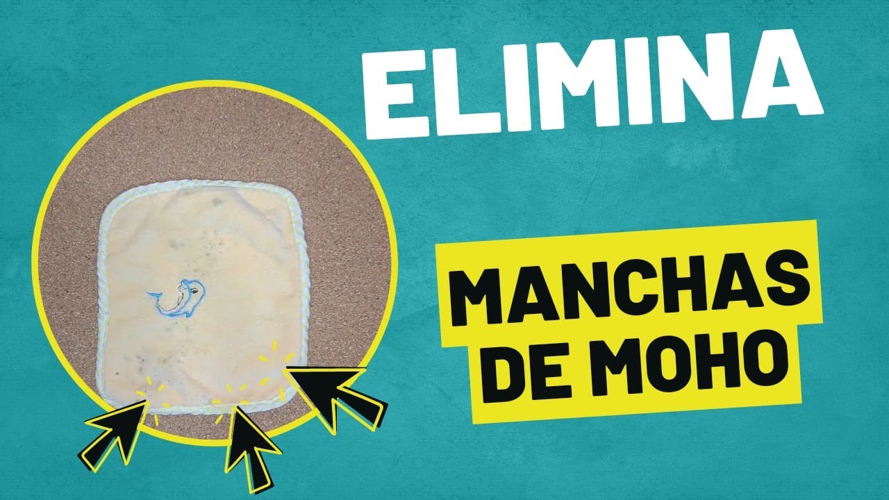 Como eliminar las machas de moho en las ropas de la forma más rápida y ...