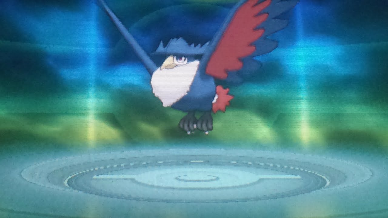 How To Get Honchkrow In Pokemon Omega Ruby and Alpha Sapphire - YouTube