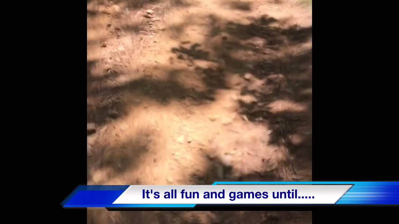 Mt Bike Wreck - YouTube