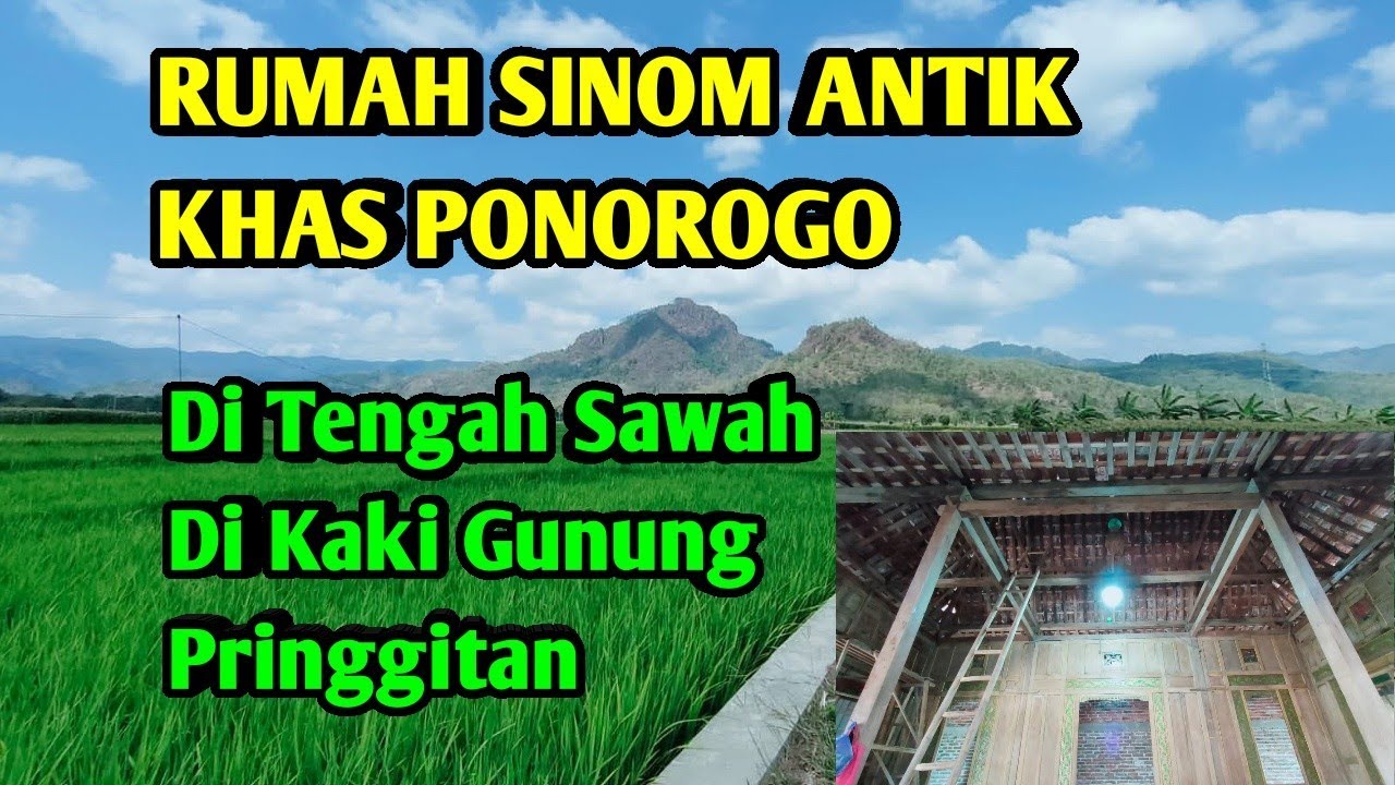 RUMAH SINOM ANTIK di tengah sawah Kaki Gunung Pringgitan - YouTube