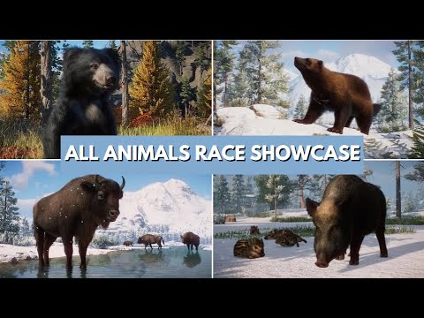 Planet Zoo (2024) All Animals Race Showcase - YouTube