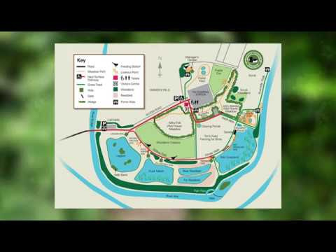 Rodley Nature Reserve - YouTube