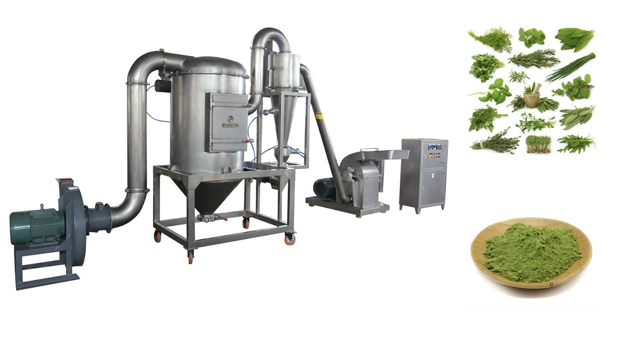 Test on BS-400 herbal leaf crusher spice hammer grinding machine - YouTube