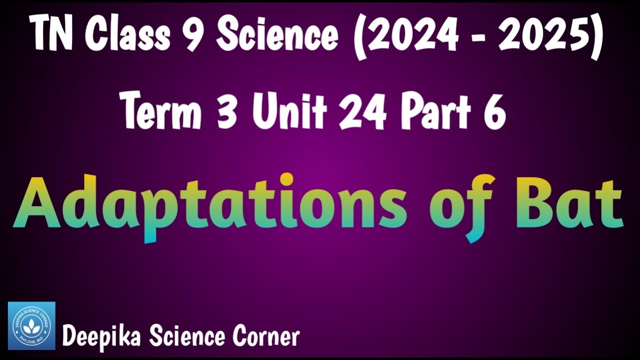 Adaptations of Animals - Bat| Class 9 Science Unit 24 Environmental ...