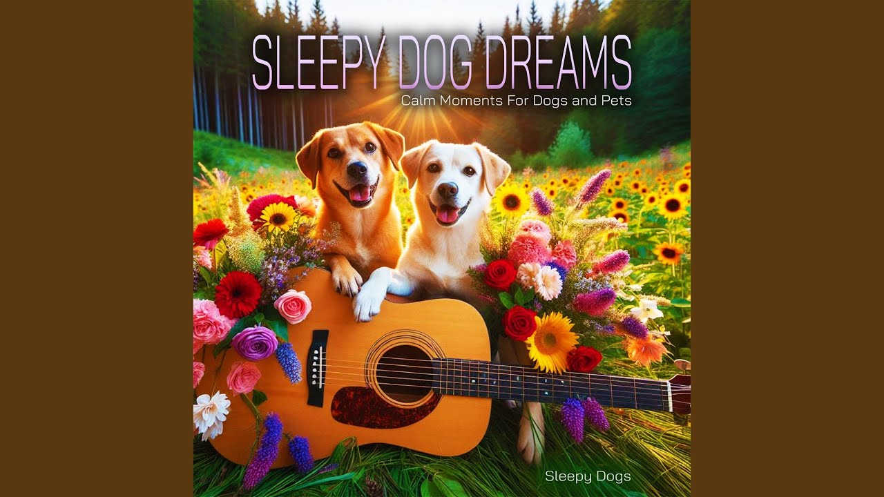 Dog Sleep Ocean Waves Paradise - YouTube