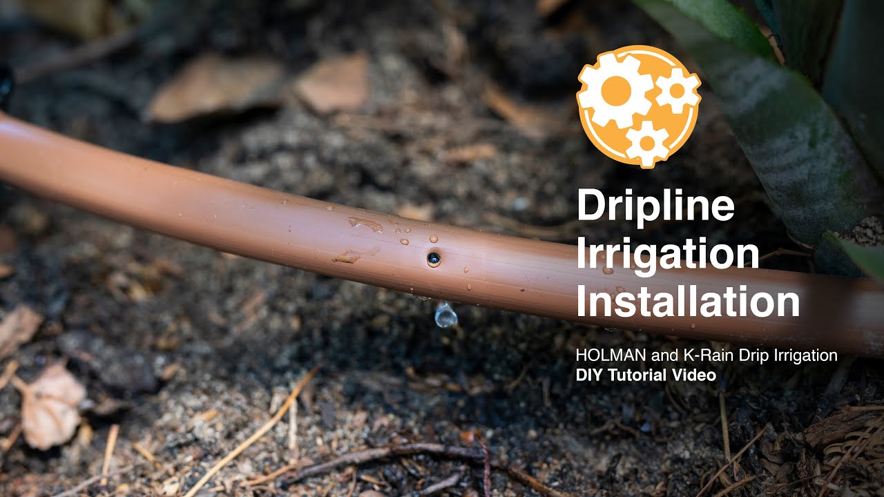 How to Install Holman Dripline Irrigation from a Popup Sprinkler - YouTube