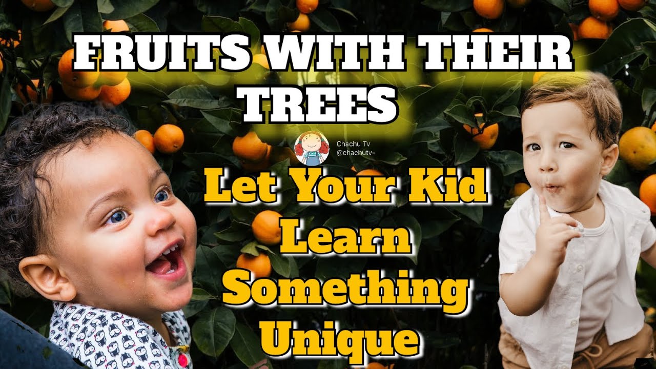 Fruits Name | Fruits With Their Trees | Learn Fruits Name in English ...