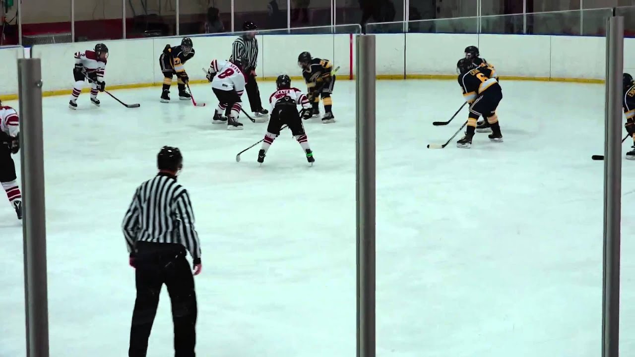 2003 AA Jr Coyotes v 2004 AAA Bobcats | November 28, 2015 - YouTube