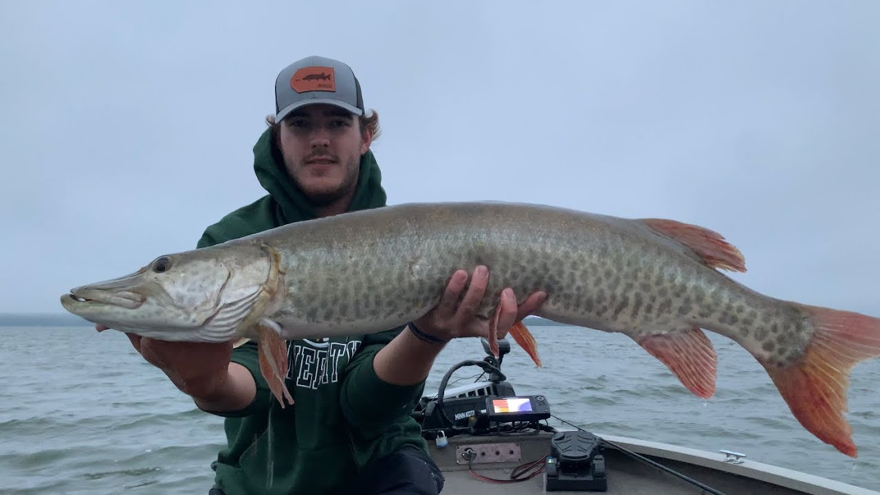 Northern Minnesota Musky Fishing! - YouTube