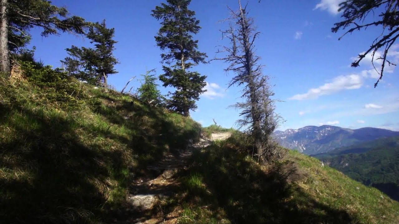 Schoberstein 2013 - YouTube