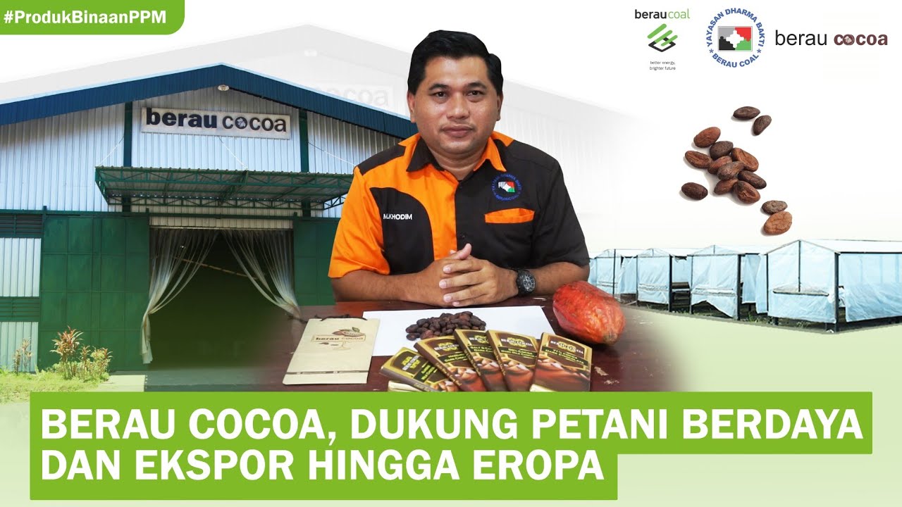Berau Cocoa, Dukung Petani Berdaya dan Ekspor Hingga Eropa⁣ - YouTube