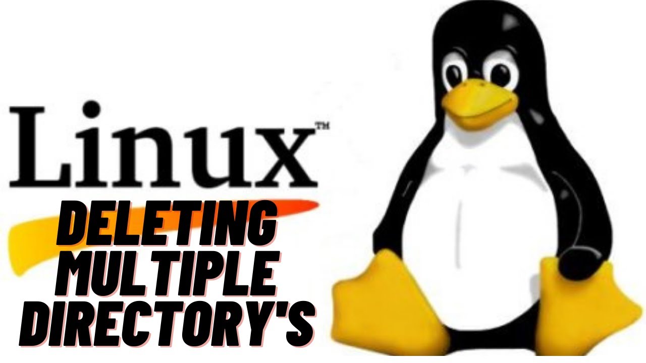 How To Delete Multiple Directory s In Linux Terminal YouTube how-to-delete-multiple-directory-s-in-linux-terminal-youtube
