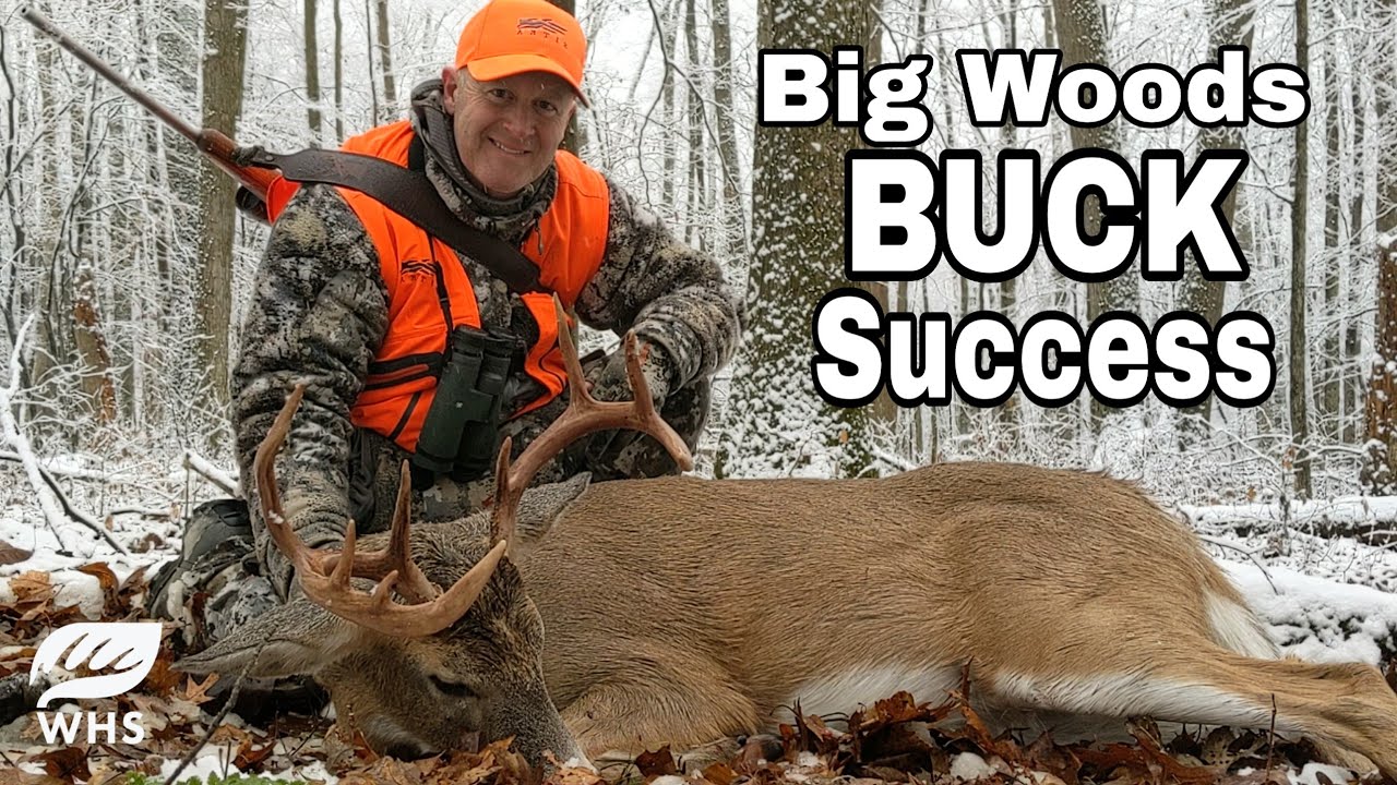 How To Hunt BIG WOODS PUBLIC LAND BUCKS - Big PA Buck Down! - YouTube
