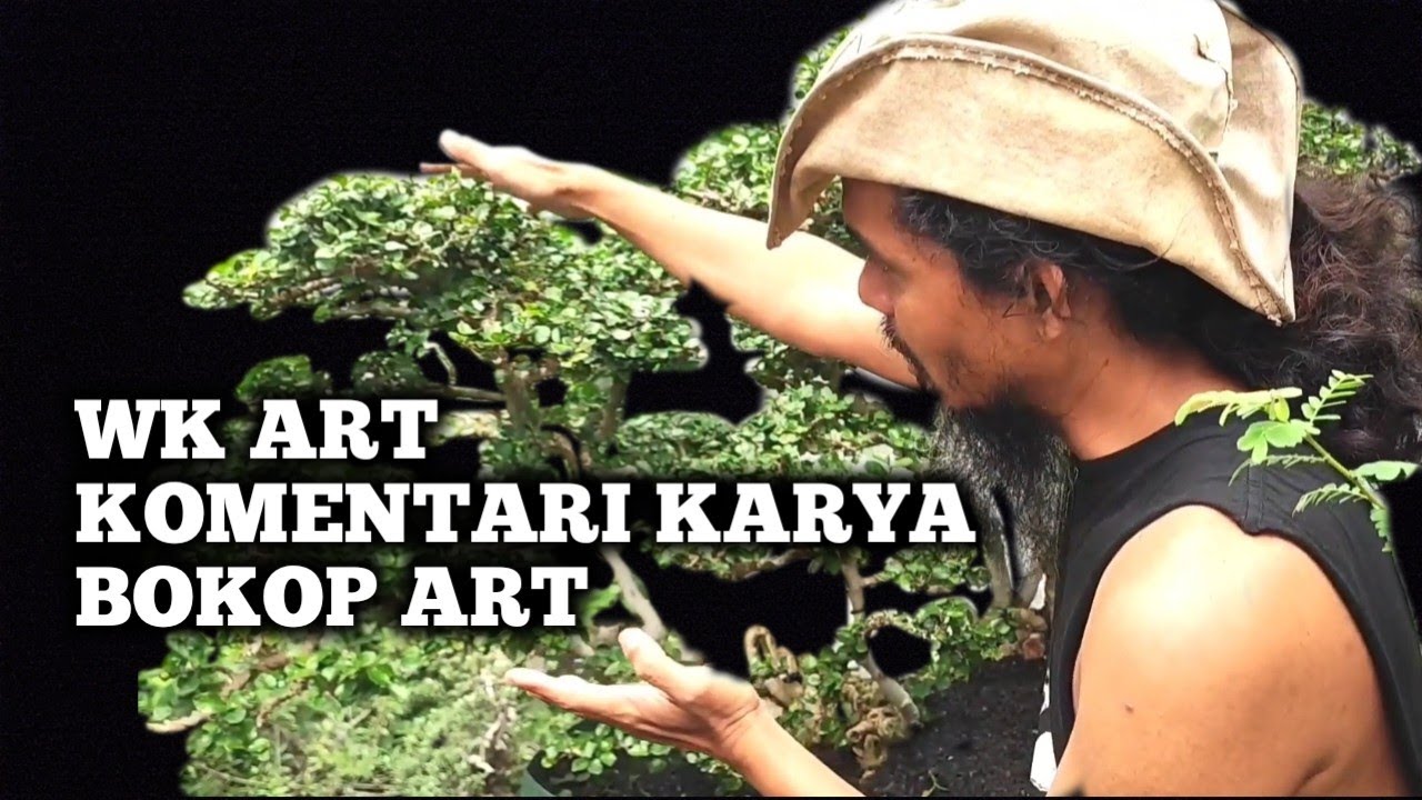 WK_Art KOMENTARI BONSAI TROPIS BOKOP ART - YouTube