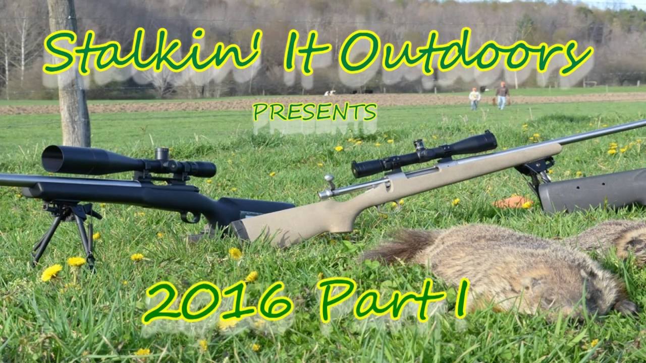Woodchuck / Groundhog / Varmint Hunting in Pennsylvania - 2016 Part 1 - YouTube