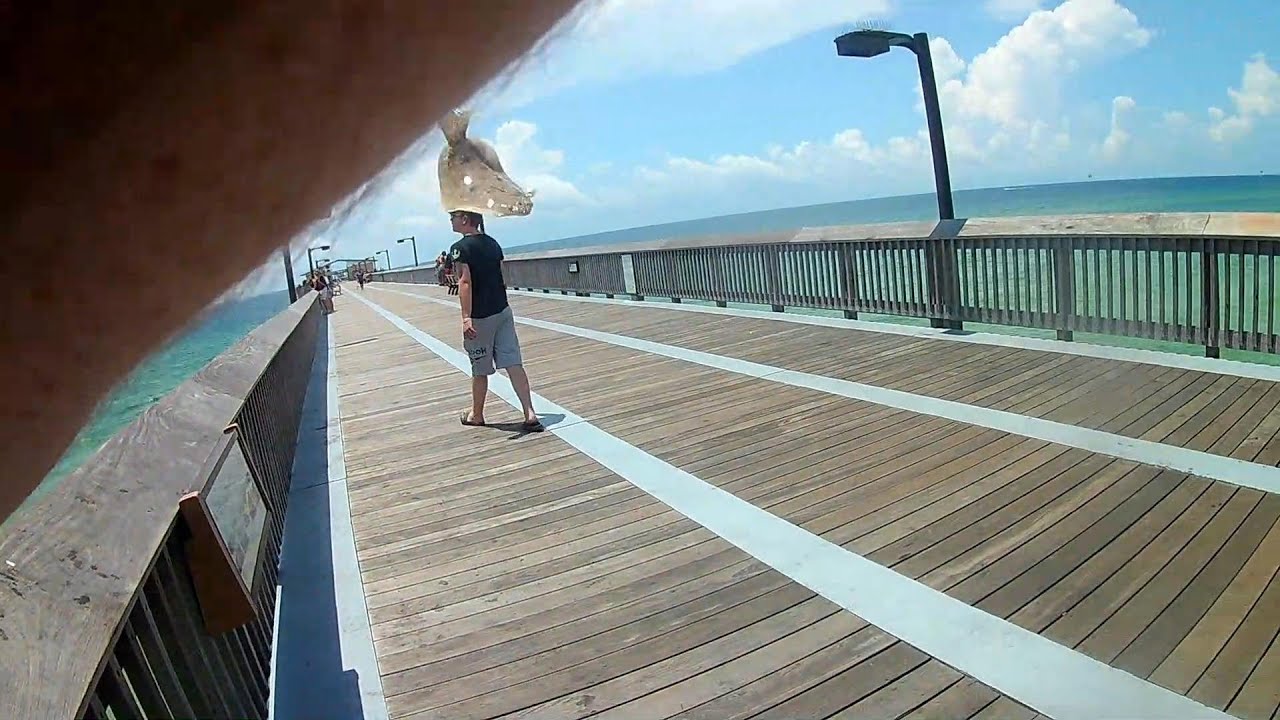 Flying #Flounder are a REEL thing #fishing #fishinglife #saltwater # ...