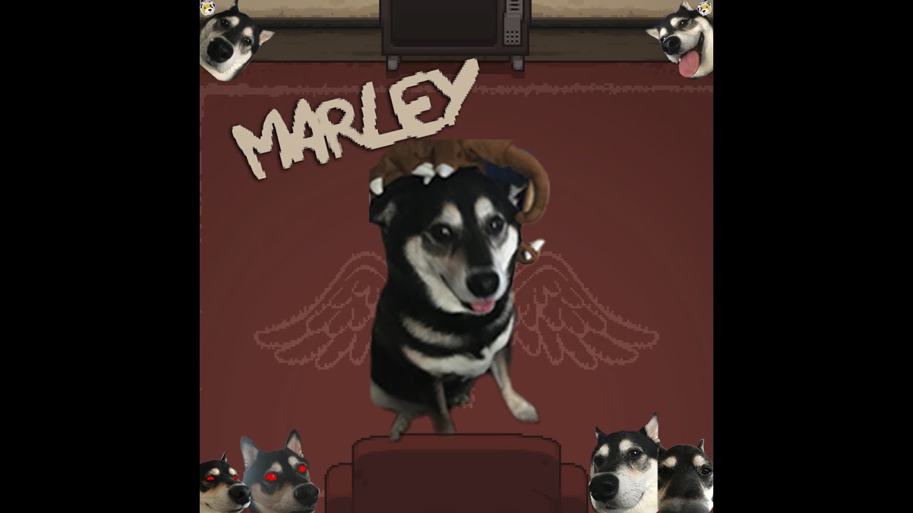 Mega Satan replaced by my partners dog Marley - The Binding of Isaac ...