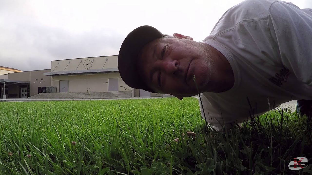 Man Eats Grass - YouTube